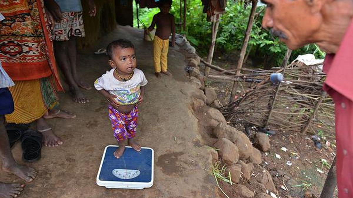India sees reduction in stunting; but wasting, obesity are concerns ...