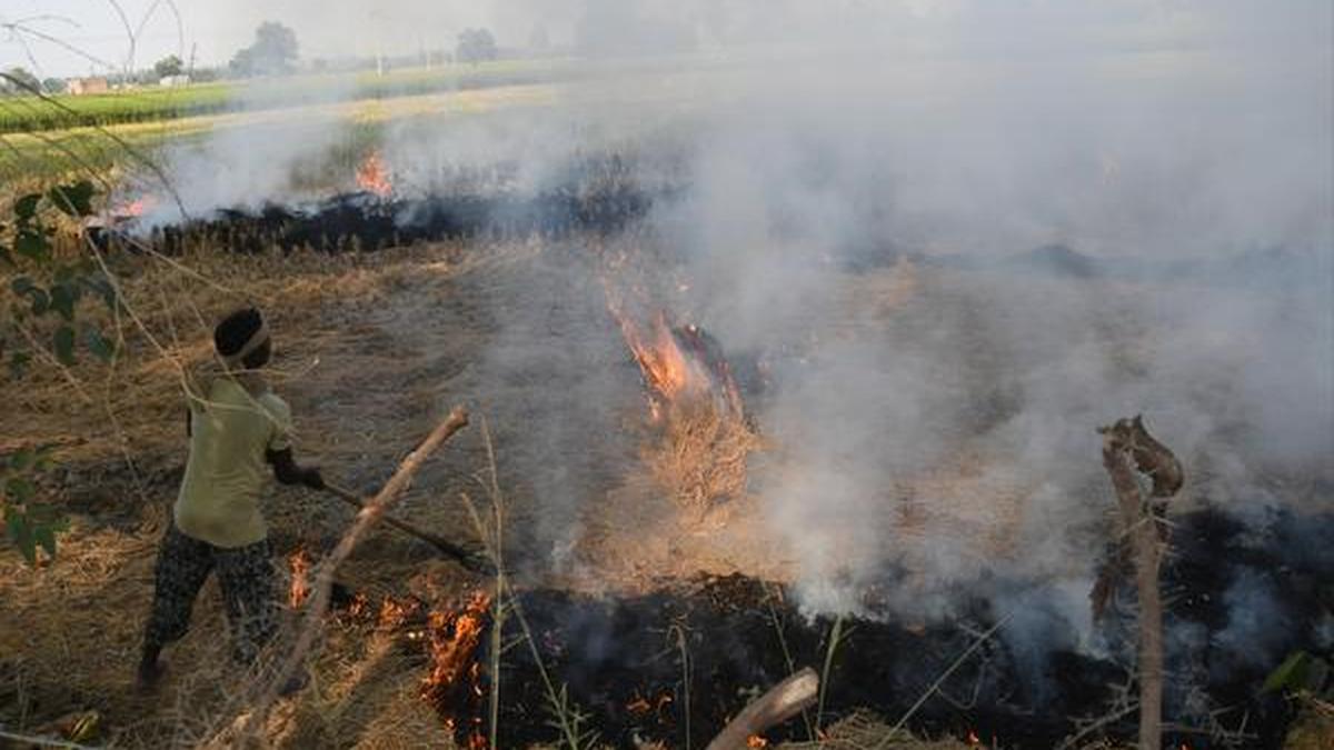 Stubble burning: Centre to test decomposer technology - The Hindu