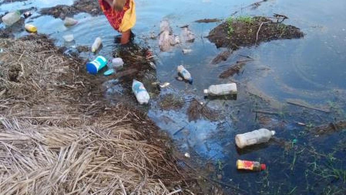 Cyclone-ravaged Sunderbans is now drowning in plastic - The Hindu