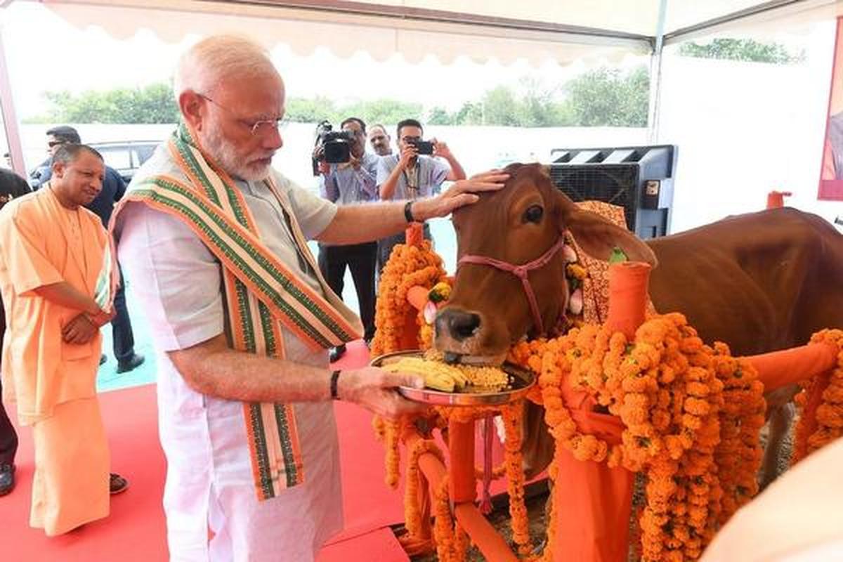 Narendra Modi stresses cow’s importance to rural economy - The Hindu