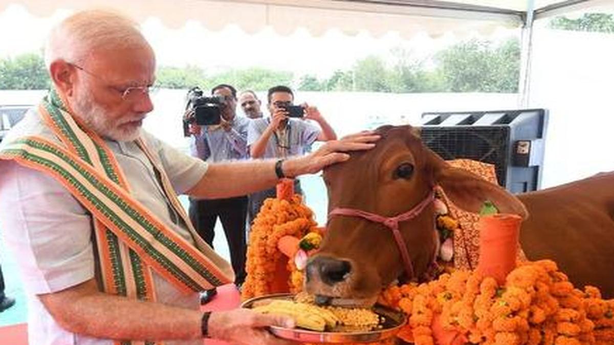 Narendra Modi stresses cow’s importance to rural economy - The Hindu