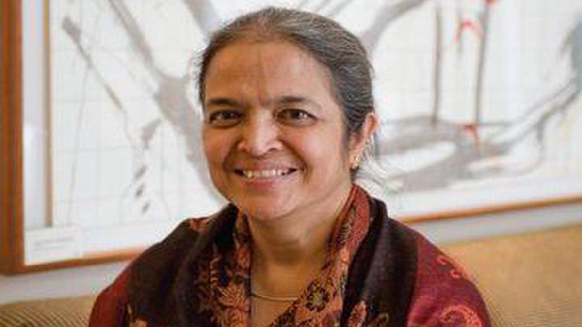 Indian scholar Gita Sen wins prestigious Dan David Prize - The Hindu