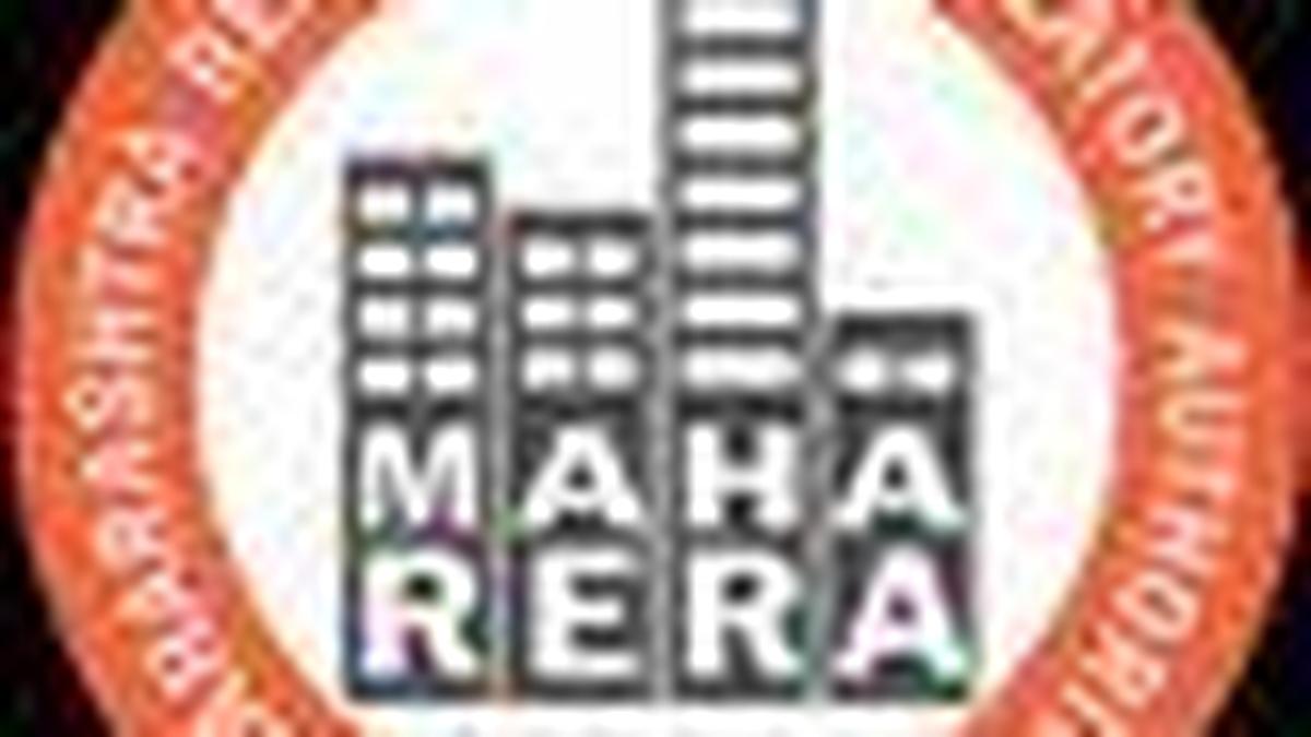 ‘RERAs will be toothless without judicial powers’ - The Hindu