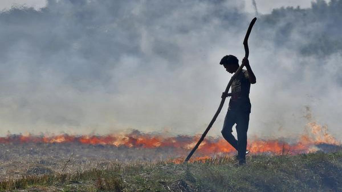Ground Zero | What drives Punjab farmers to burn paddy stubble every ...