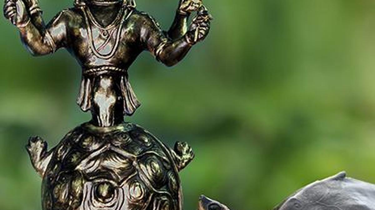 Vishnu to the rescue of temple turtles - The Hindu