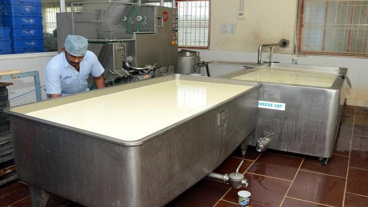 ‘37.7% of processed milk samples unsafe’ - The Hindu