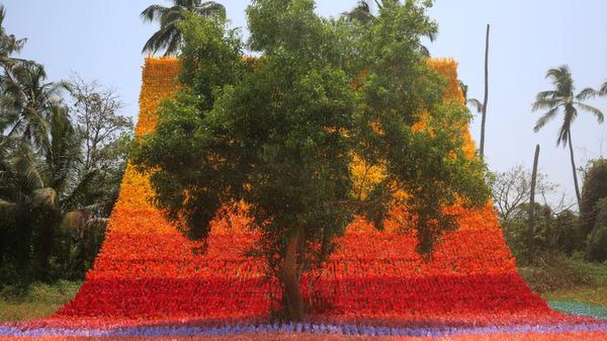 Litter-free Goa: art installation’s aim - The Hindu