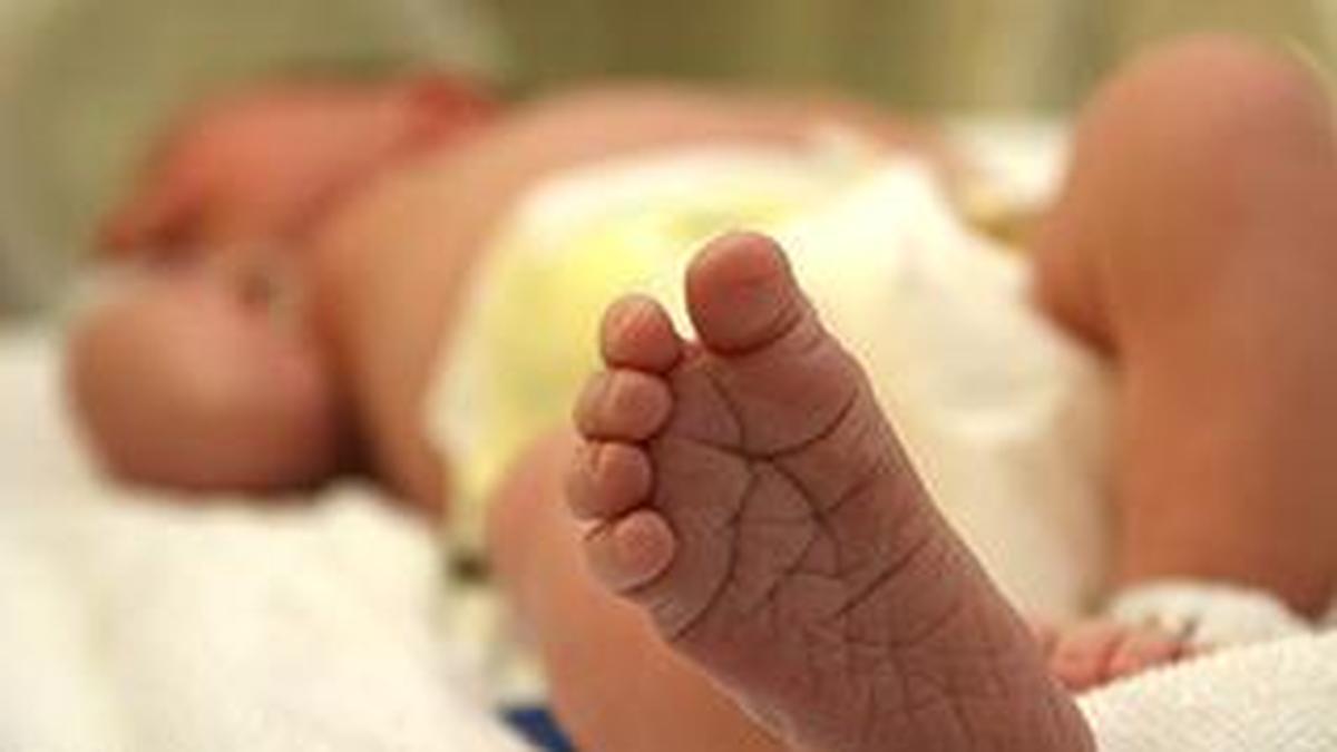 Birth, death registrations up in 2019 - The Hindu