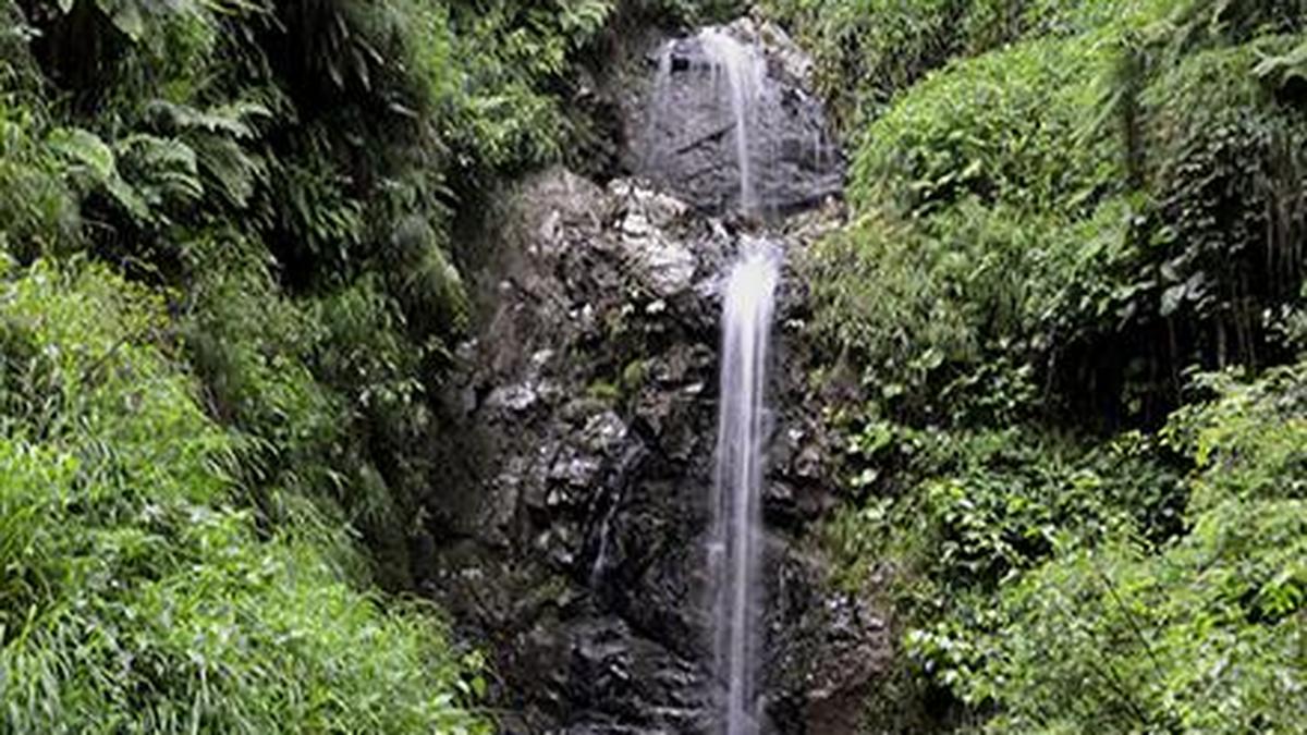 Panel urges plan to save Himalayan springs - The Hindu