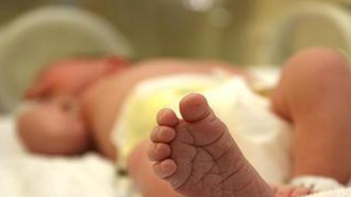 Pthalates, linked to hormonal disregulation, found in baby diapers ...