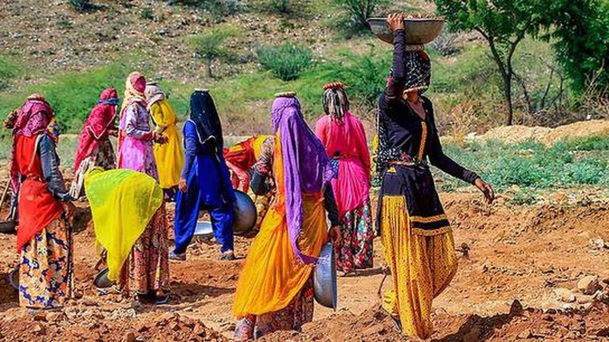 Lift restrictions on MGNREGS works in Rajasthan’s rural areas: Civil ...