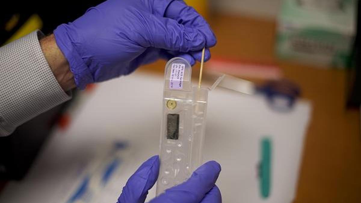 DNA forensics a vital tool in cracking wildlife crimes - The Hindu