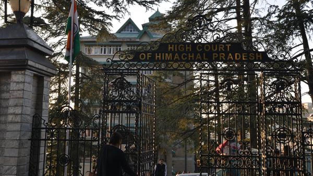 Himachal Pradesh HC refuses bail for rape accused, says some men fail ...