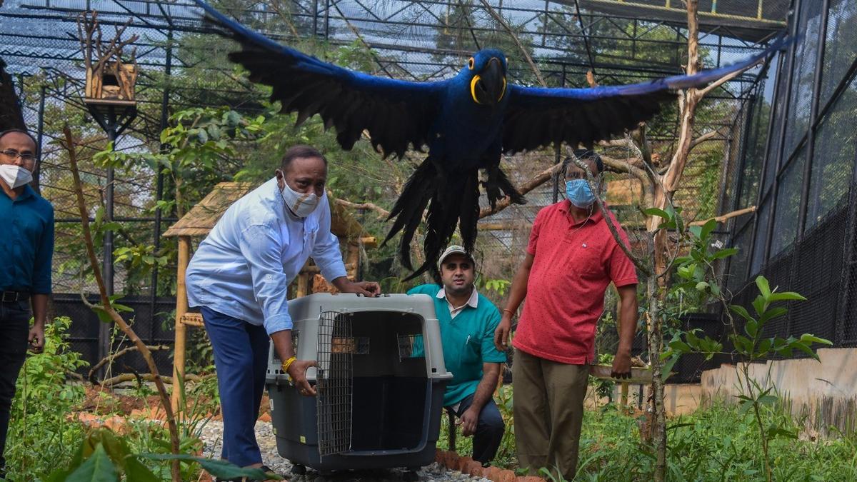 Guwahati zoo becomes home for rescued exotic animals - The Hindu