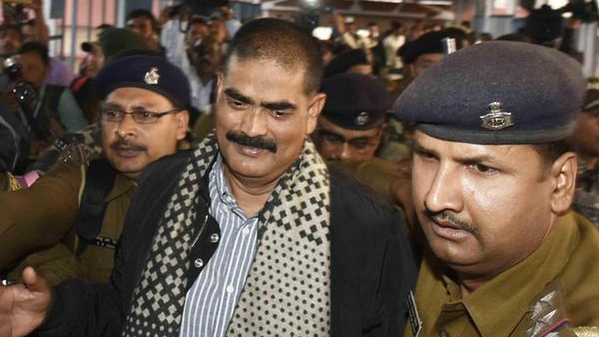 Delhi High Court grants custody parole to jailed former Bihar MP ...