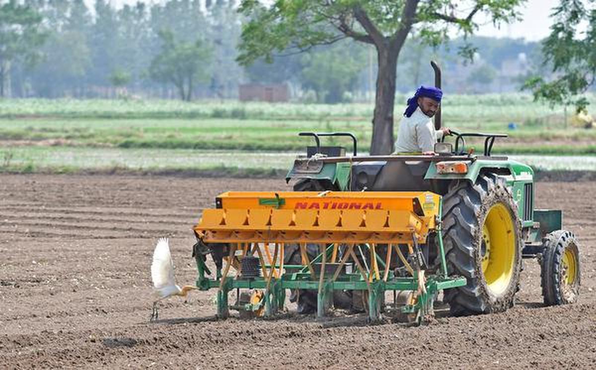 Moving away from traditional practice, more paddy farmers in Punjab ...