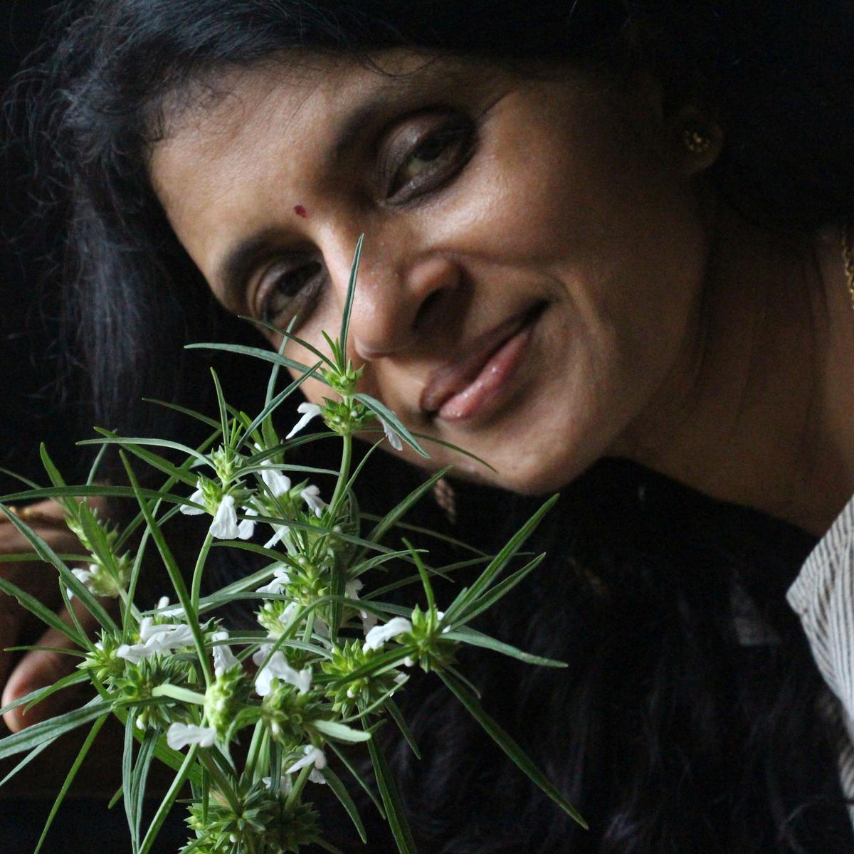 Read Deepa Reddy's stories on The Hindu