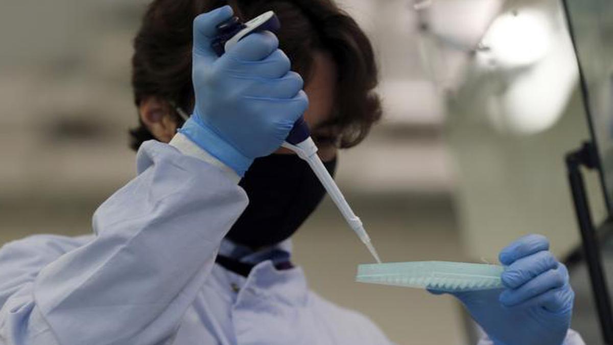 Coronavirus | Indian ‘double mutant’ strain named B.1.617 - The Hindu