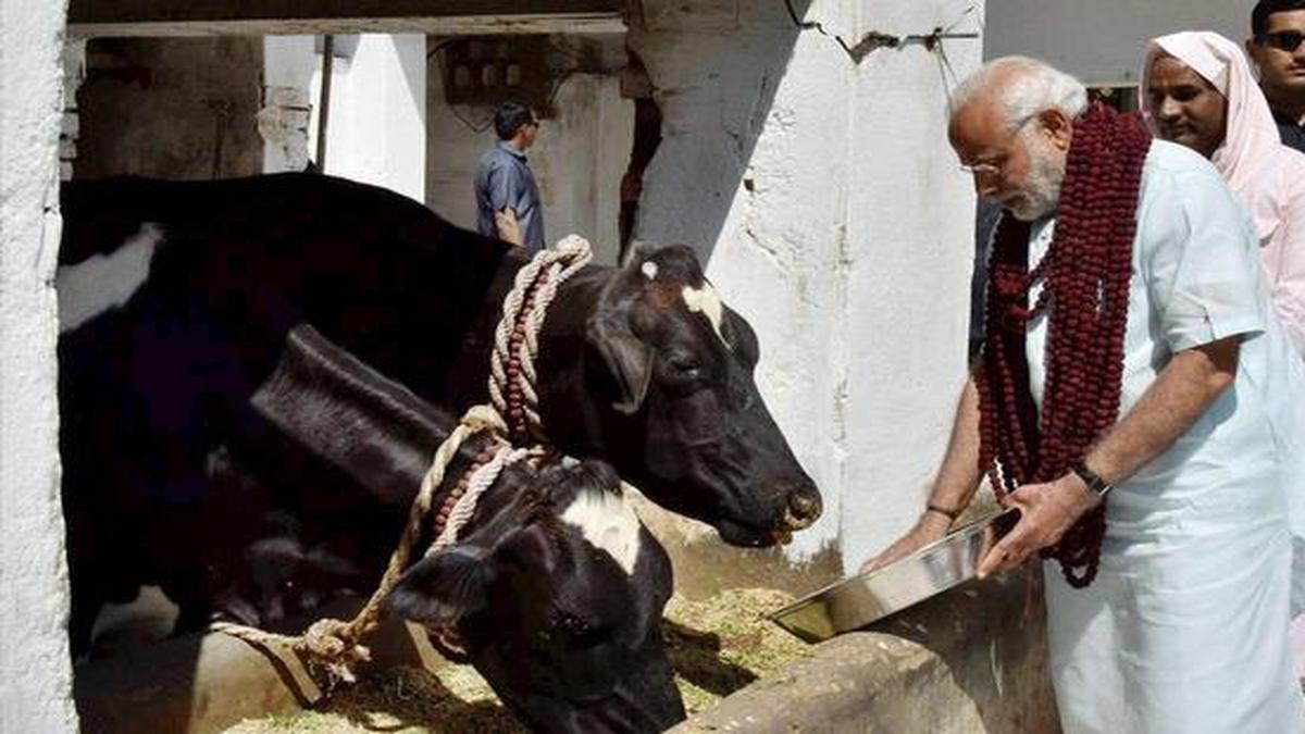 Cow important part of India’s tradition and culture: Narendra Modi ...