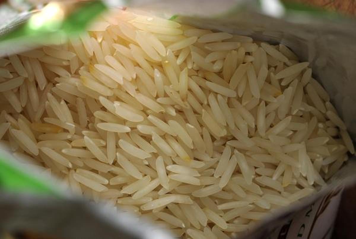 Rice attributes that improve nitrogen use efficiency found - The Hindu