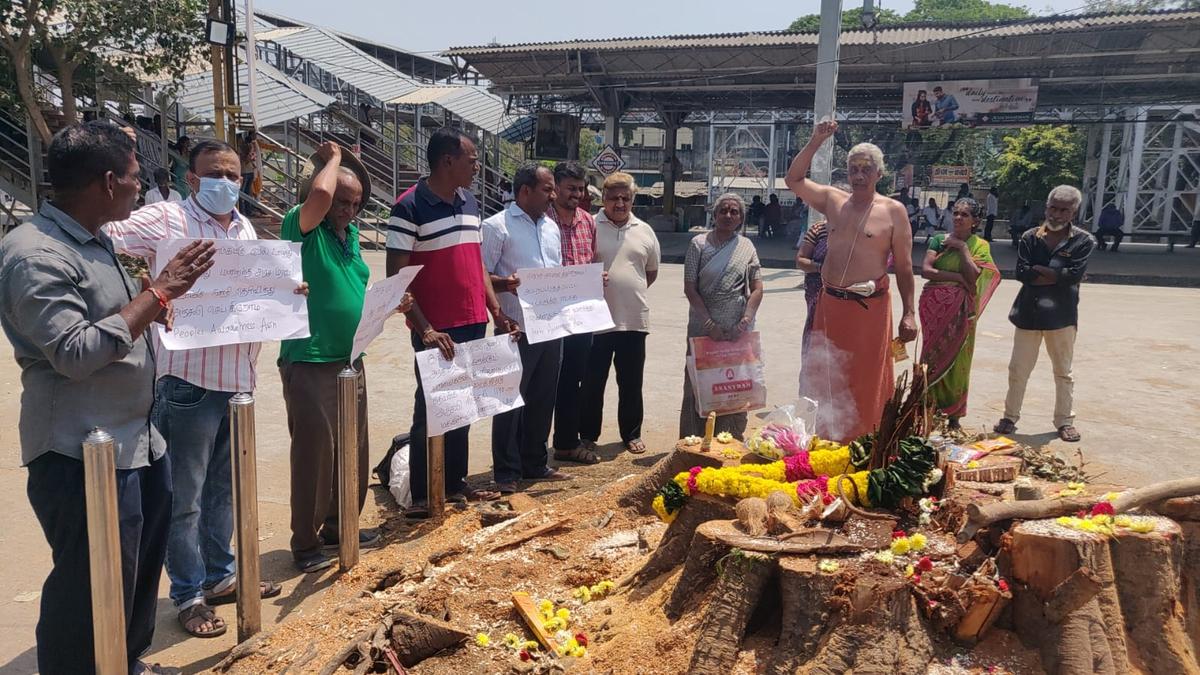 Residents pay homage to banyan tree felled for subway work in Chromepet ...