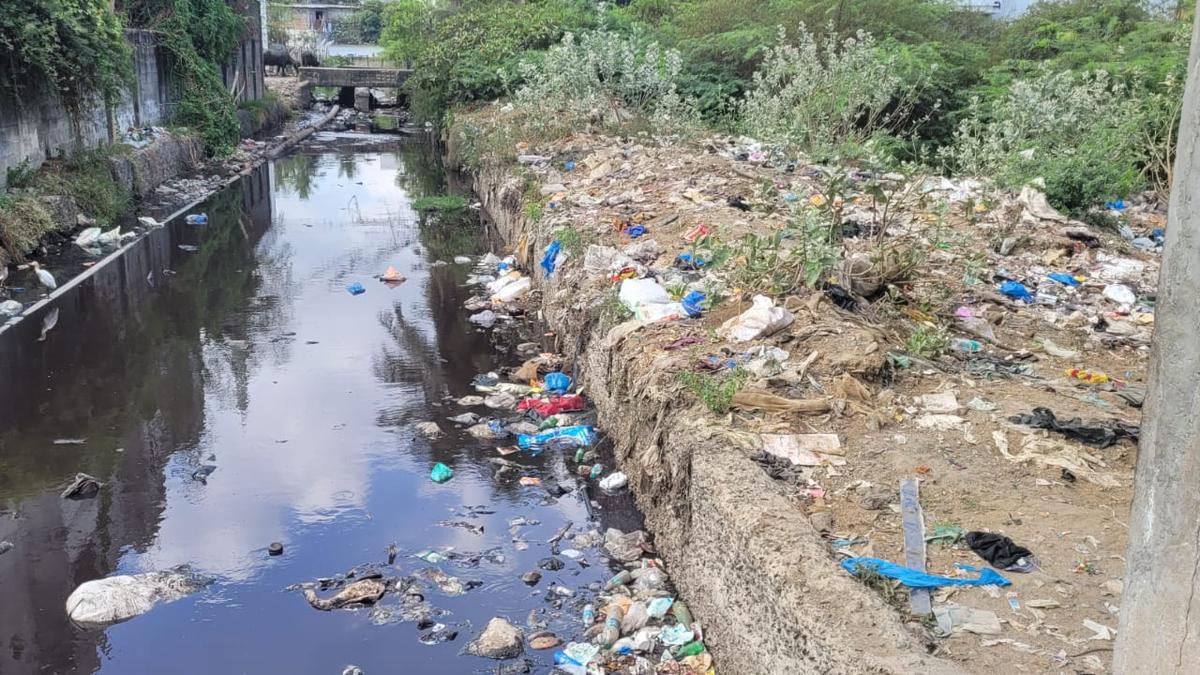 Residents want Nattu Kalvai, surplus course of Tiruneermalai lake, to ...