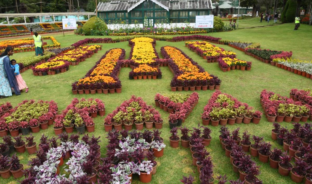 Second season of flower show inaugurated in the Nilgiris - The Hindu