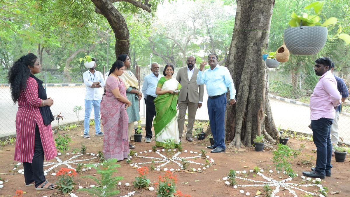 Anna University’s Centre for Environmental Studies develops bioproduct ...
