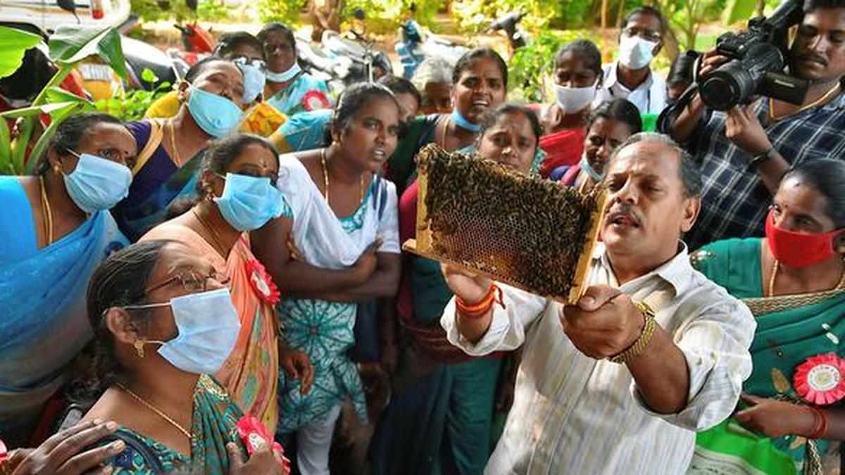 Five-day training for women in beekeeping begins in Puducherry - The Hindu