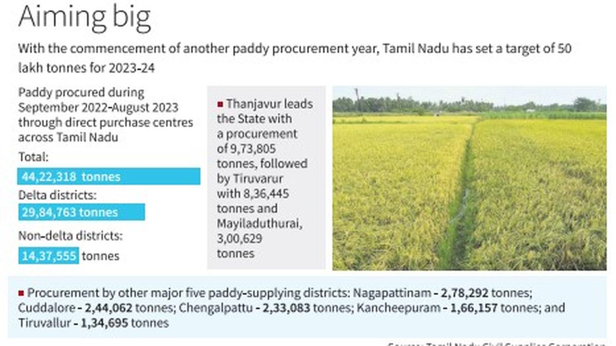 T.N. draws up plans to achieve paddy procurement target of 50 lakh ...