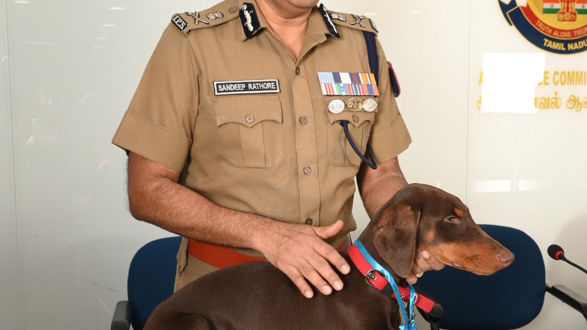 Avadi Police Commissionerate dog squad gets a new member - The Hindu