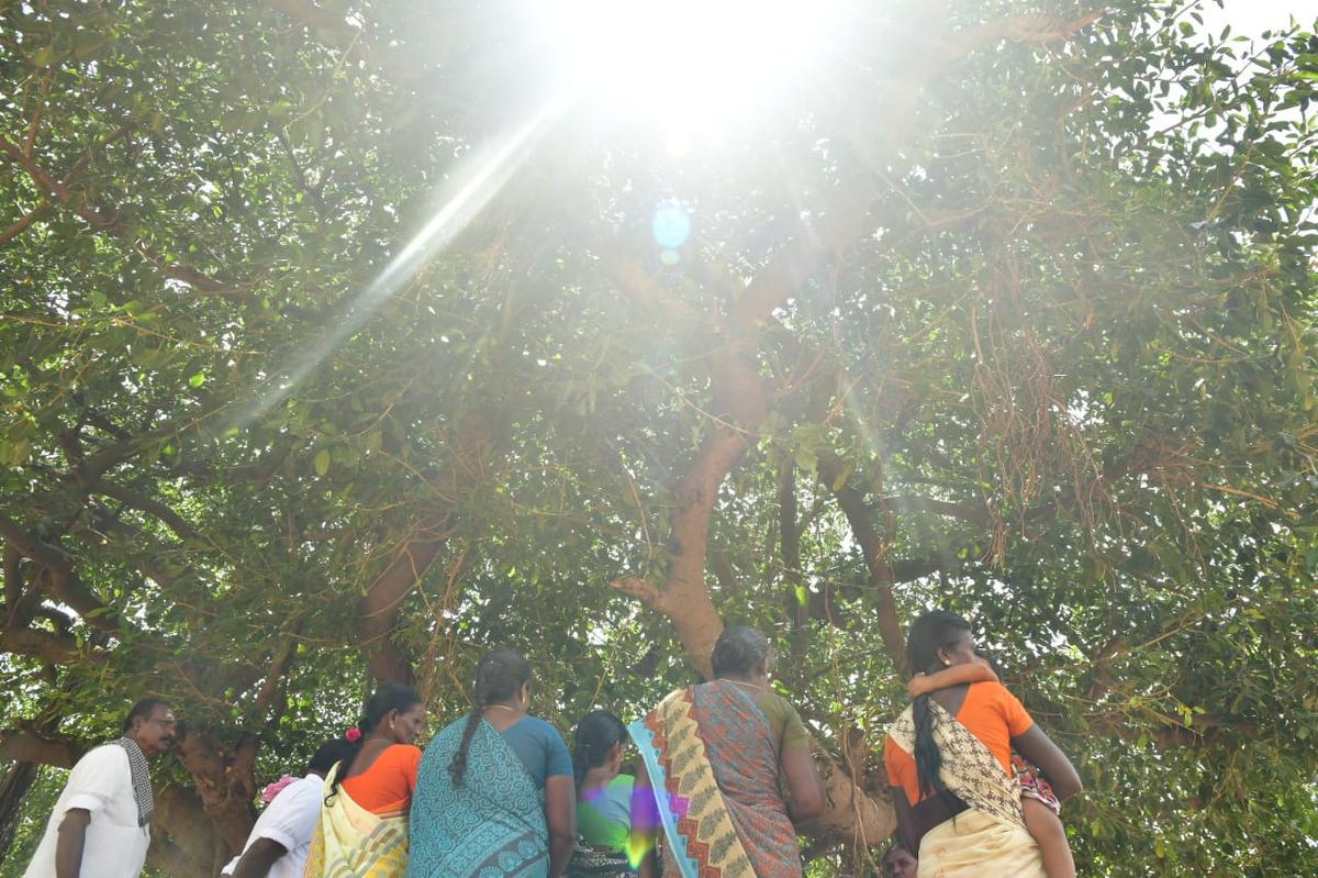 The Vachathi story: justice delivered, after the State turns mob - The ...