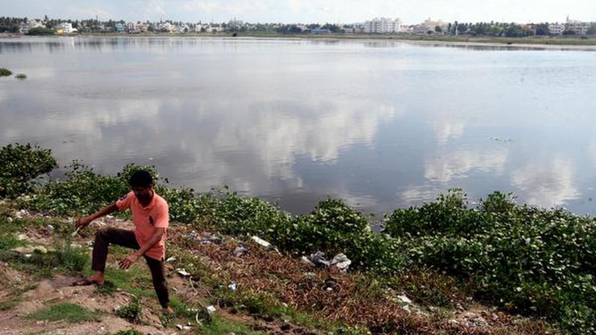 Corporates come together for restoration of Sembakkam lake - The Hindu