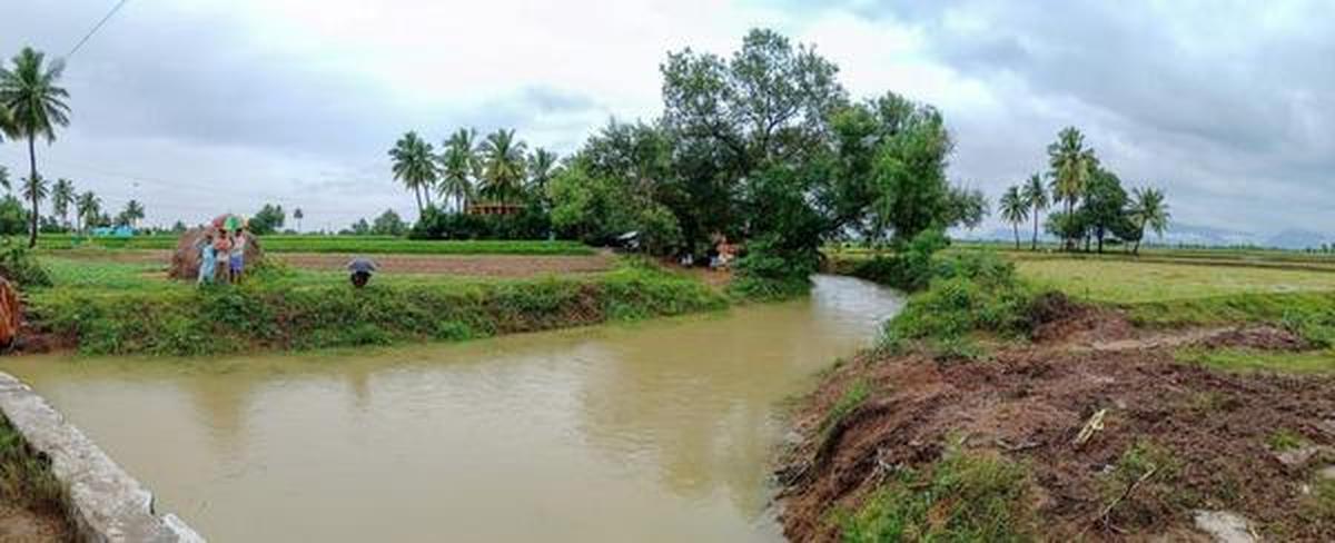 Water flows into lake in Tiruvannamalai village after 36 years - The Hindu