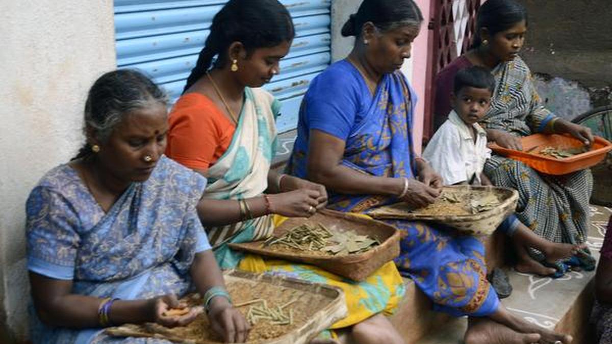 For beedi workers it’s all work and no pay - The Hindu