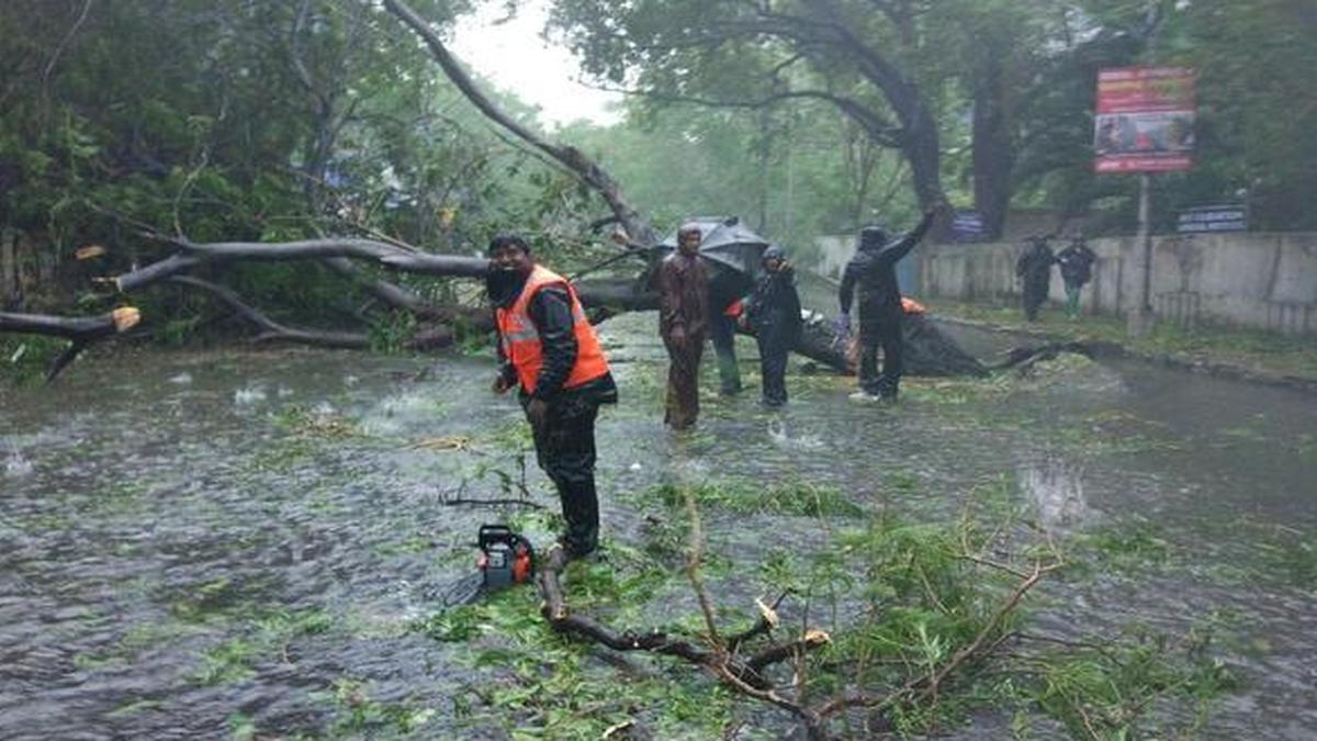 Cyclone Vardah: What to do when the power is restored after a flood ...