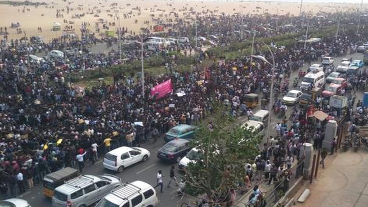 Jallikattu protests: HC declines to interfere - The Hindu