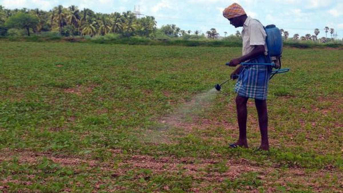 TN govt order on regularisation of unapproved layouts and plots - The Hindu