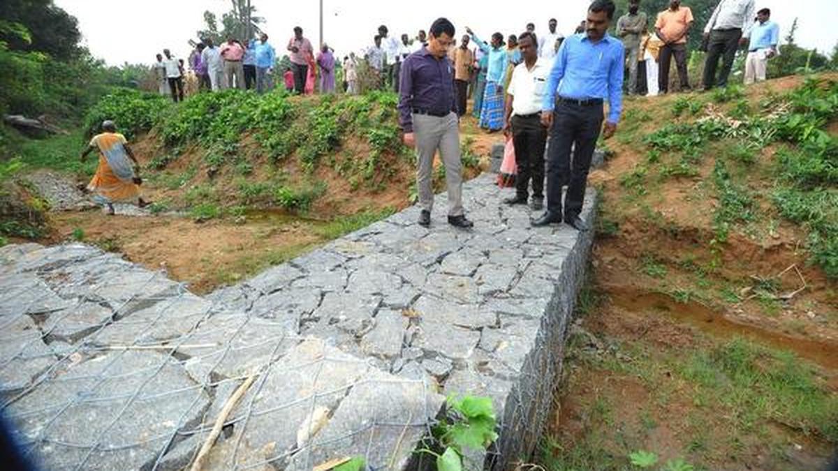 Mass tree plantation scheme nearing completion in Vellore - The Hindu