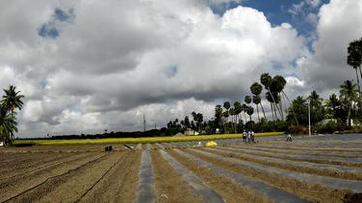 Farming in Tamil Nadu ready for a turnaround - The Hindu Farming in Tamil Nadu ready for a turnaround - The Hindu