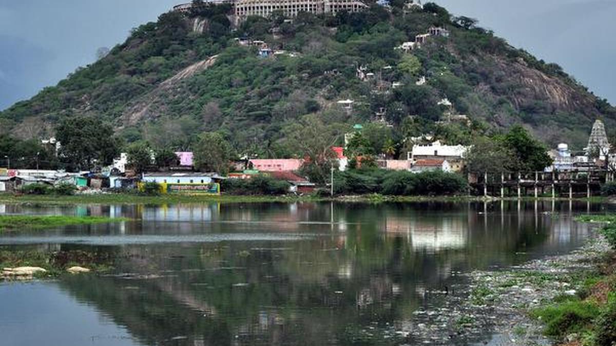 Controversial Palani idol back in the spotlight - The Hindu