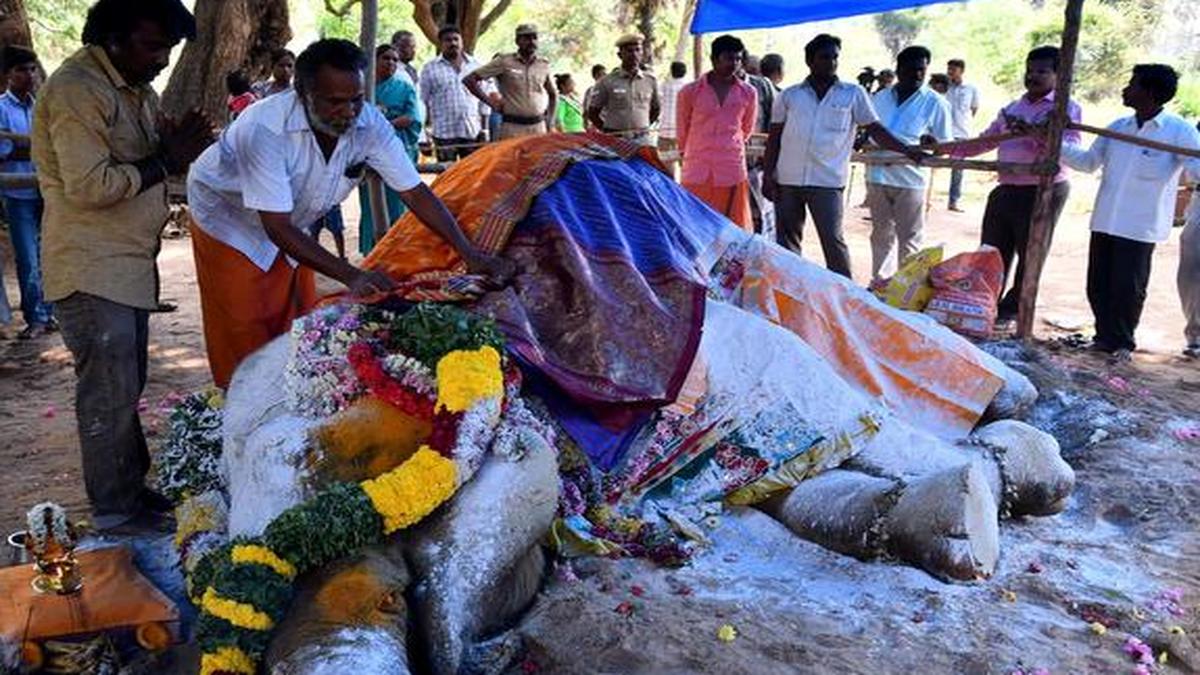 Temple elephant dies a natural death - The Hindu