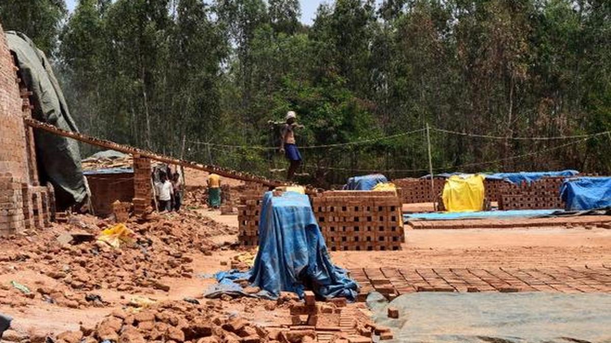 11 labourers rescued from brick kiln - The Hindu