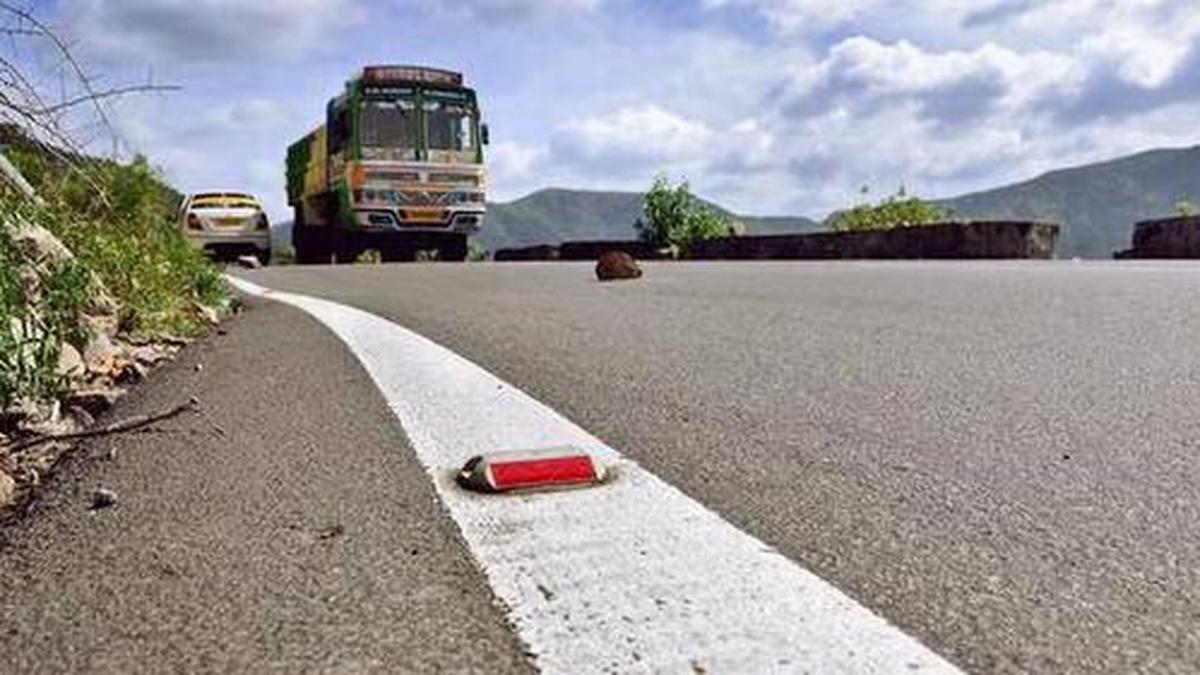 Madras High Court expresses concern over death of 152 wild animals in ...