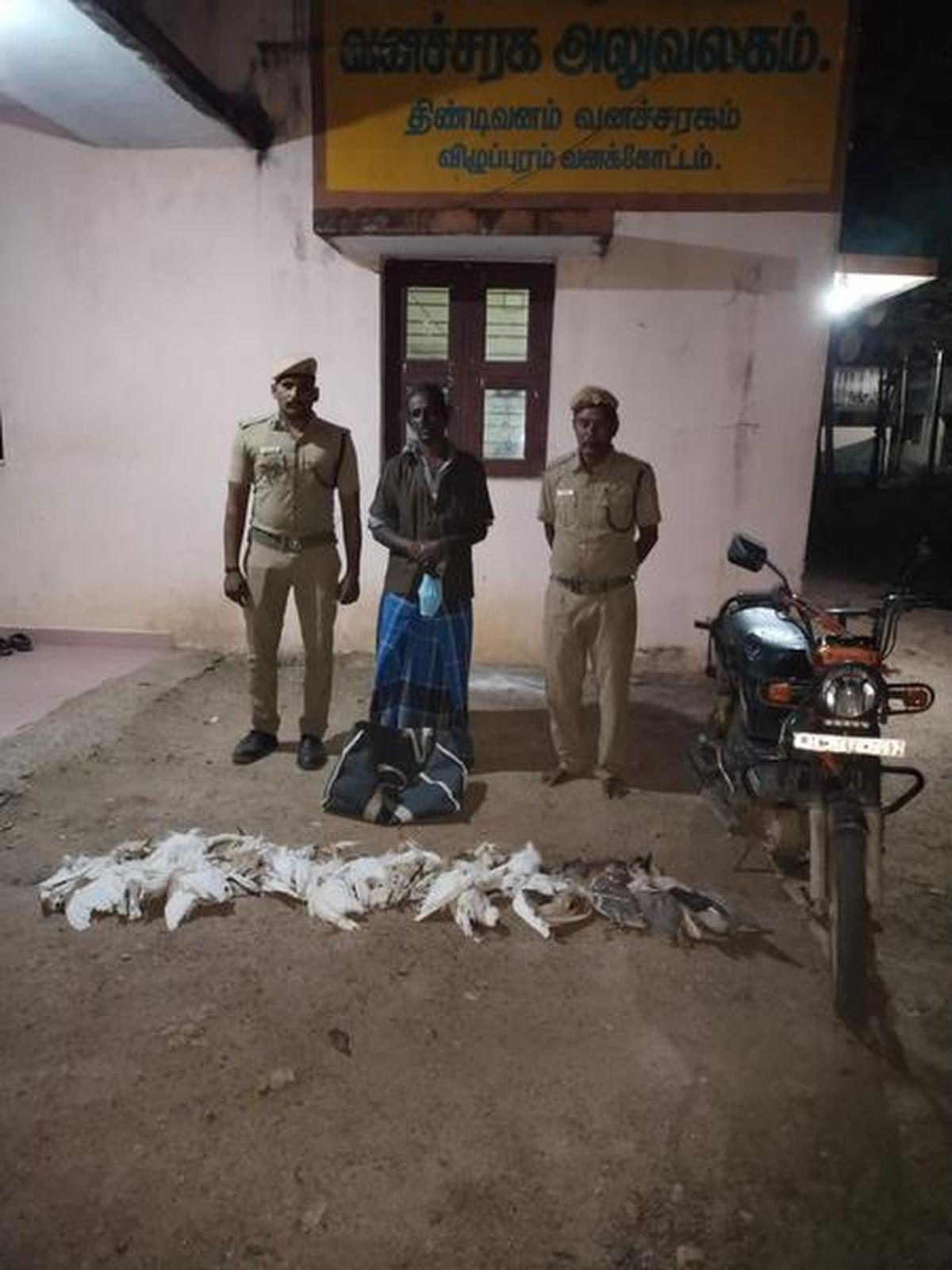 Man held for poaching birds near Tindivanam - The Hindu