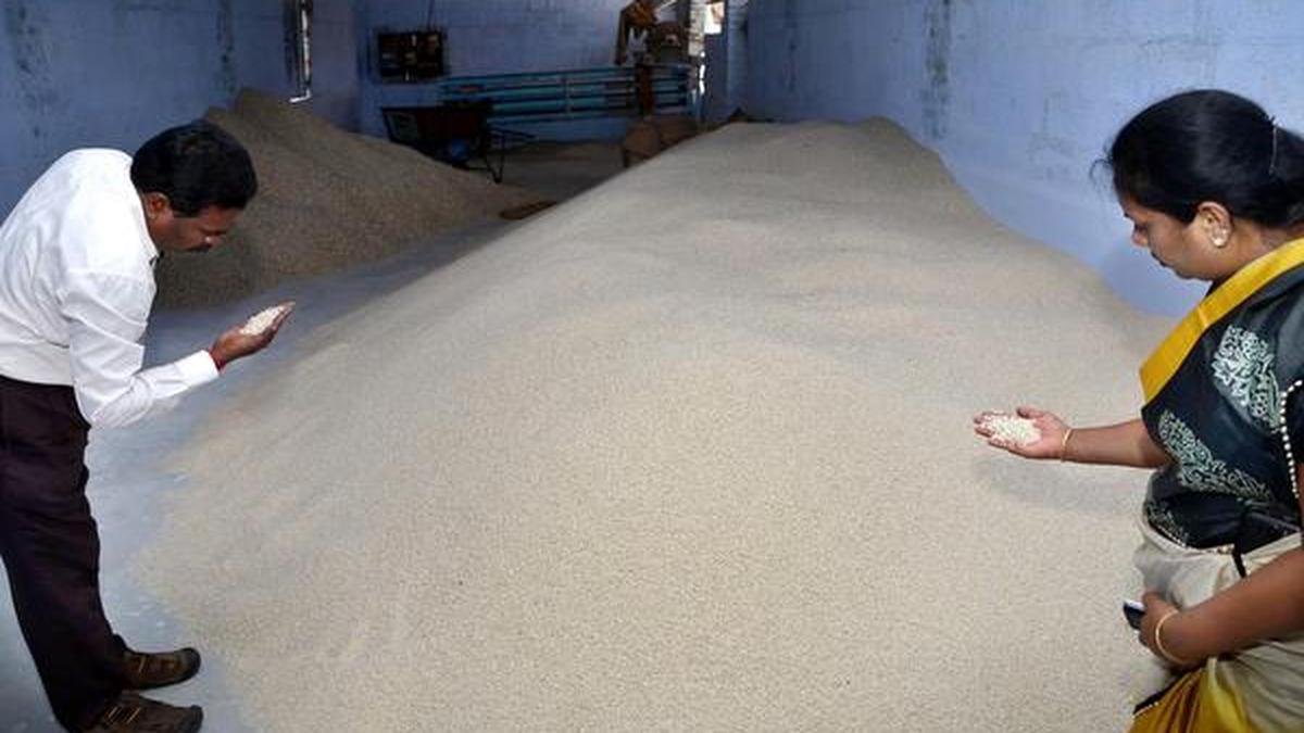 Sagoserve applies for GI tag for Salem Sago - The Hindu