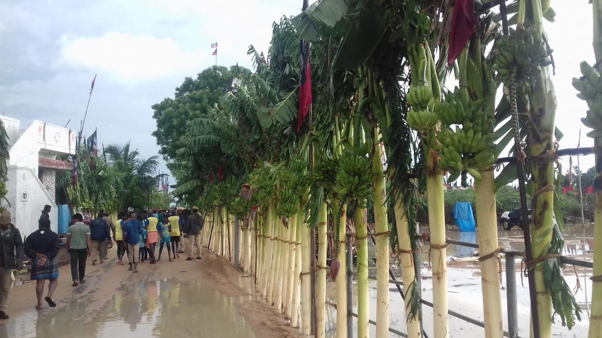 Flag poles, banana trees replace banners and flex boards during ‘Thevar ...