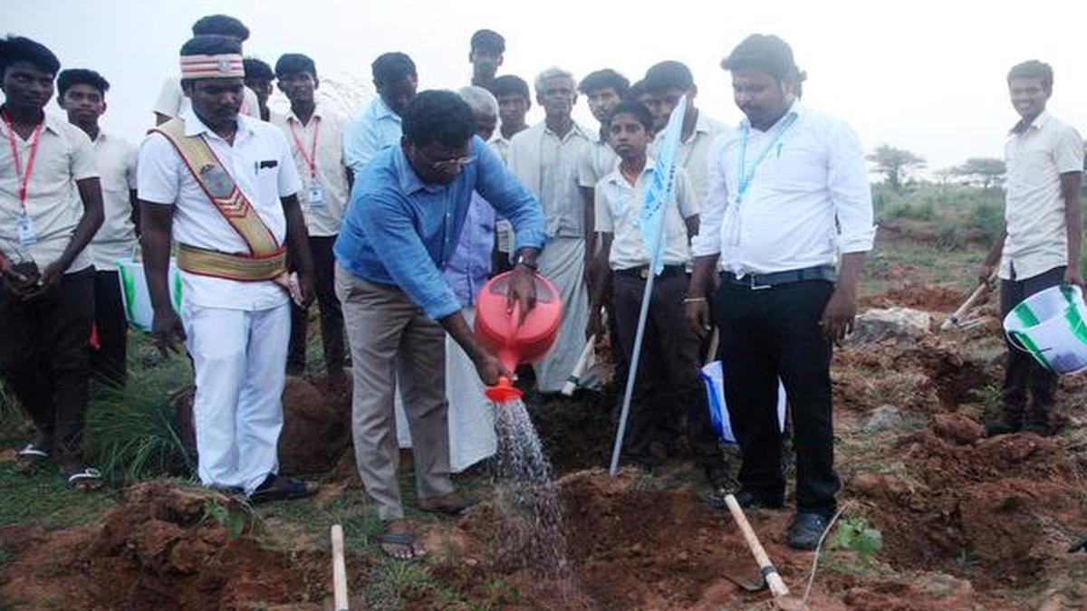 More than 700 participate in sapling plantation drive - The Hindu