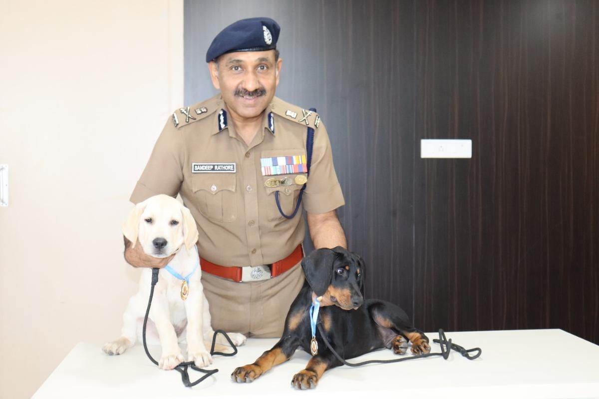 Avadi police canine squad gets two more members - The Hindu
