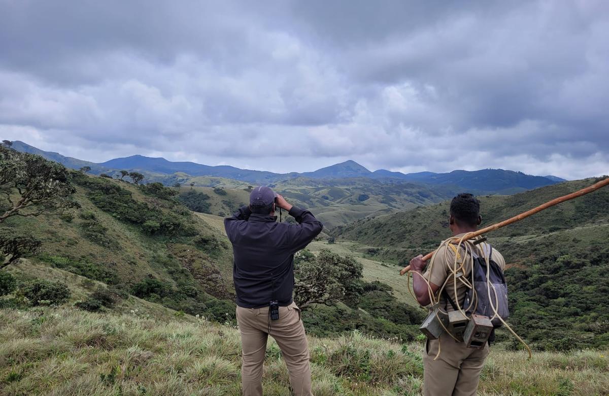 Combing operations conducted in areas surrounding Mukurthi National ...